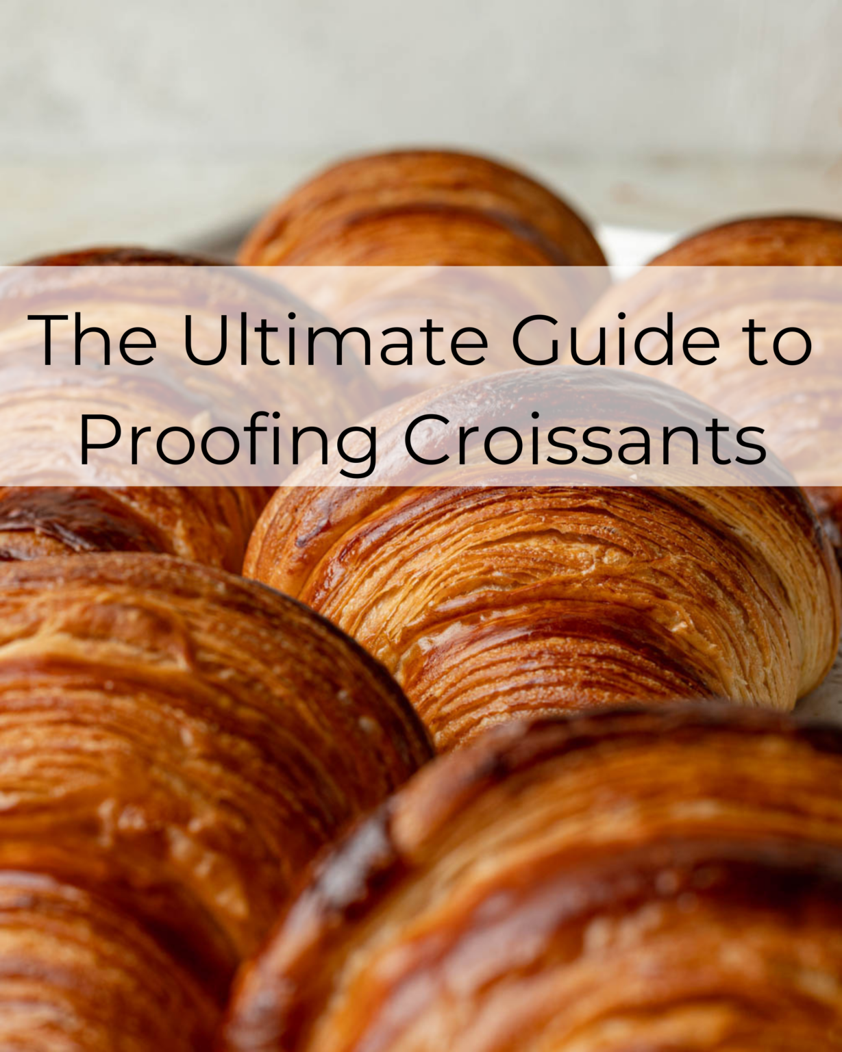 Ultimate Guide to Proofing Croissants | Halicopter Away